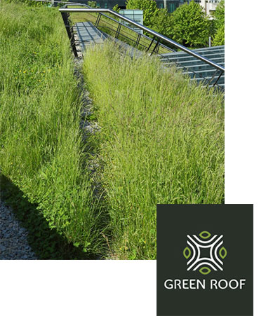 What is a Green Roof - Greenroof